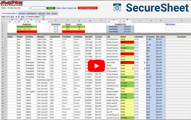 Secure Spreadsheet Features - SecureSheet